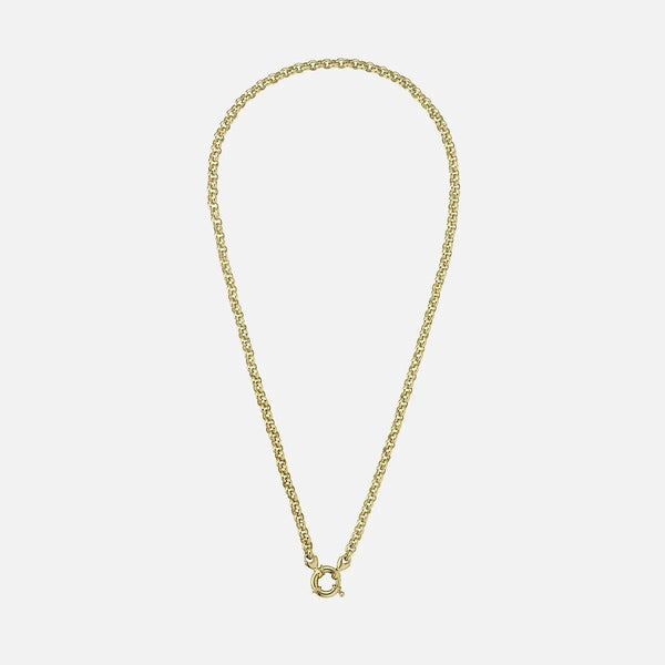 Lionheart 4mm Heavy Rolo Link Chain - At Present Jewelry